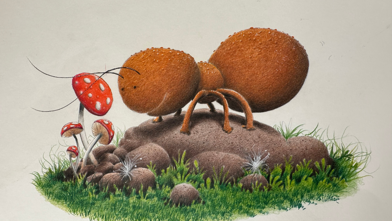 Curso Lápis&Cor com Andrei Marani - Inscrição