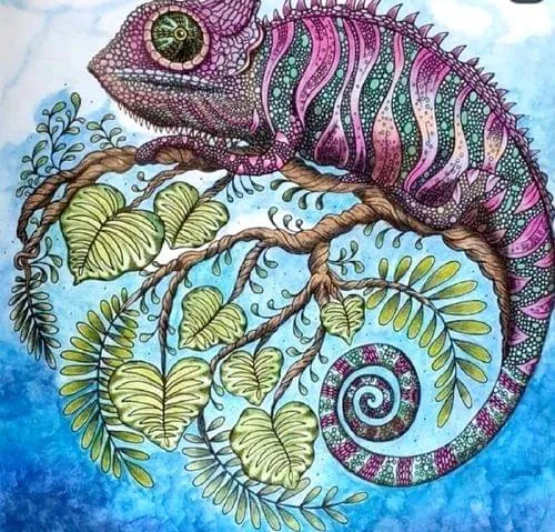 Curso Lápis&Cor com Andrei Marani - Inscrição